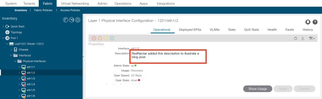 Are Interface Descriptions in ACI using magic? | RedNectar's Blog