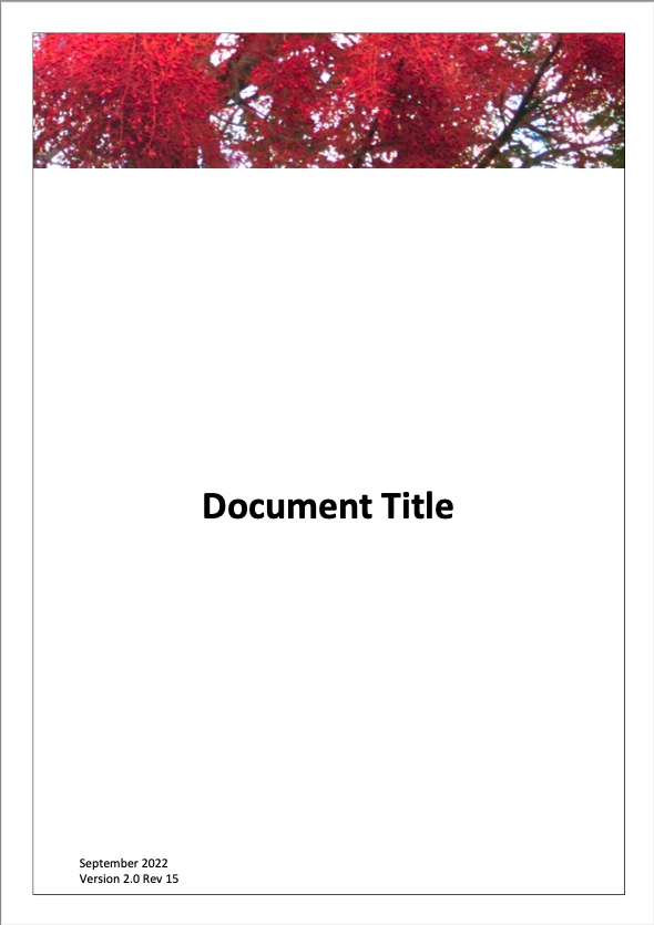 Do you put version numbers in MS Word Documents? You should. And here’s ...